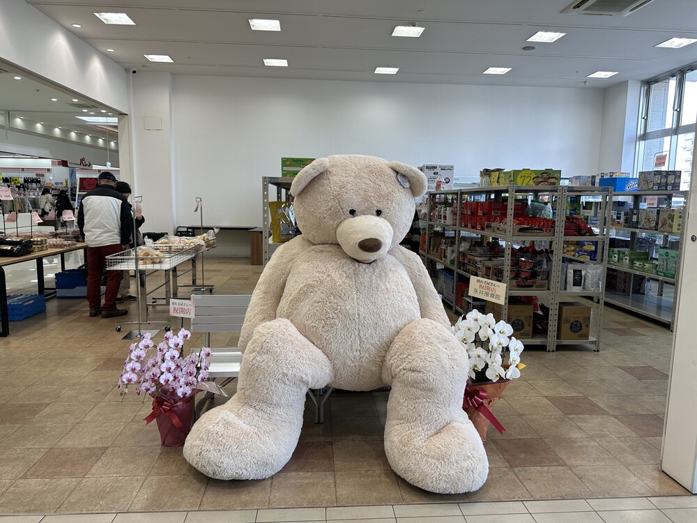 イオンタウン水島にコストコ再販店「晴れる屋」オープン 人気商品を中心に200種類以上！ | KCTトクもりっ